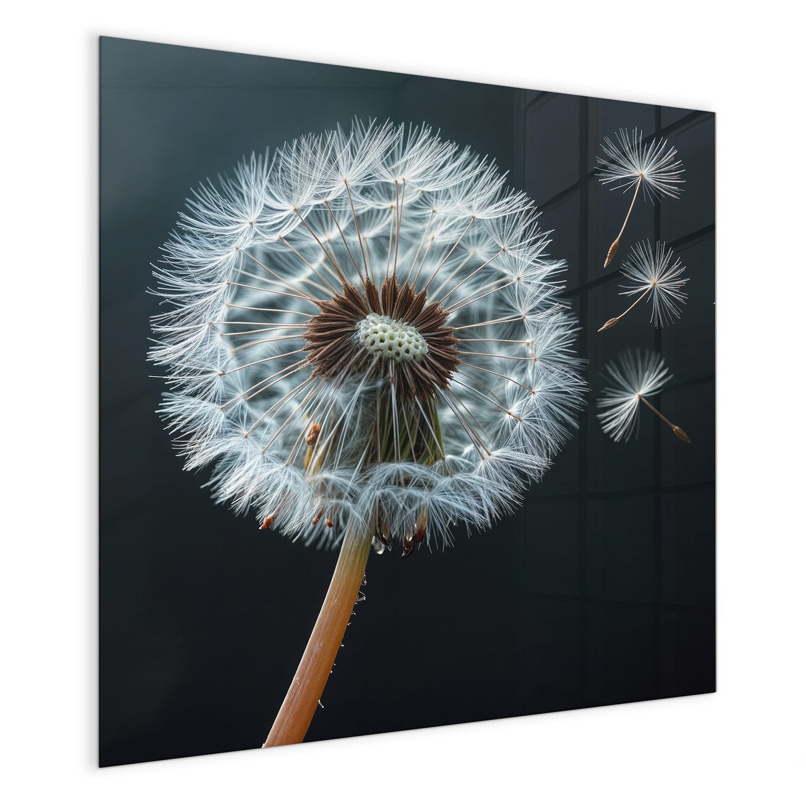 Magnettafel - Pusteblume im Wind